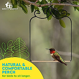Premium Hummingbird Swing, Rust Resistant Metal Frame, Wooden Dowel, Humming Bird Perch Feeder Accessory, Birdswing For Outside
