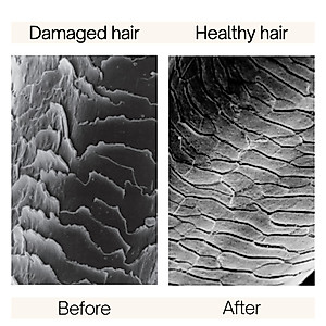 RAUSCH Swiss Herbal Care Shampoo 200 ml