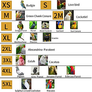 Adjustable Parrot Cone Collar, Safe and Practical Cotton Collar to Prevent Bites and Licking Wounds, to Help heal (S)