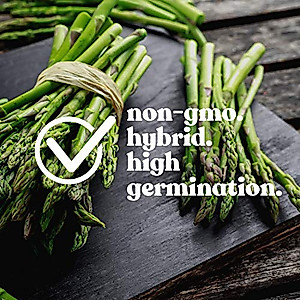 UC 157 F2 Asparagus Garden Seeds - 2 g Packet ~60 Seeds - Non-GMO, Hybrid, Perennial Vegetable Gardening Seeds