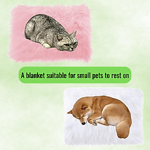 NINGDAN 14x10 inches 1pcs Rectangle Faux Fur Plush Cushion, Area Rugs Fluffy Carpet Mini Small Size Fit,for Tabletop Photography,Home Decor,Product Display,Locker Accessories for Girls (White)