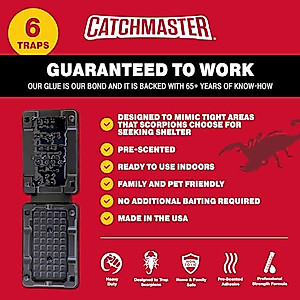 Catchmaster Scorpion Glue Tray Traps 6-Pack, Adhesive Scorpion Killer for Home, Simple Insect Traps Indoor, Sticky Bug Catcher for Kitchen, Garage, & Basement, Pet Safe Pest Control Glue Traps