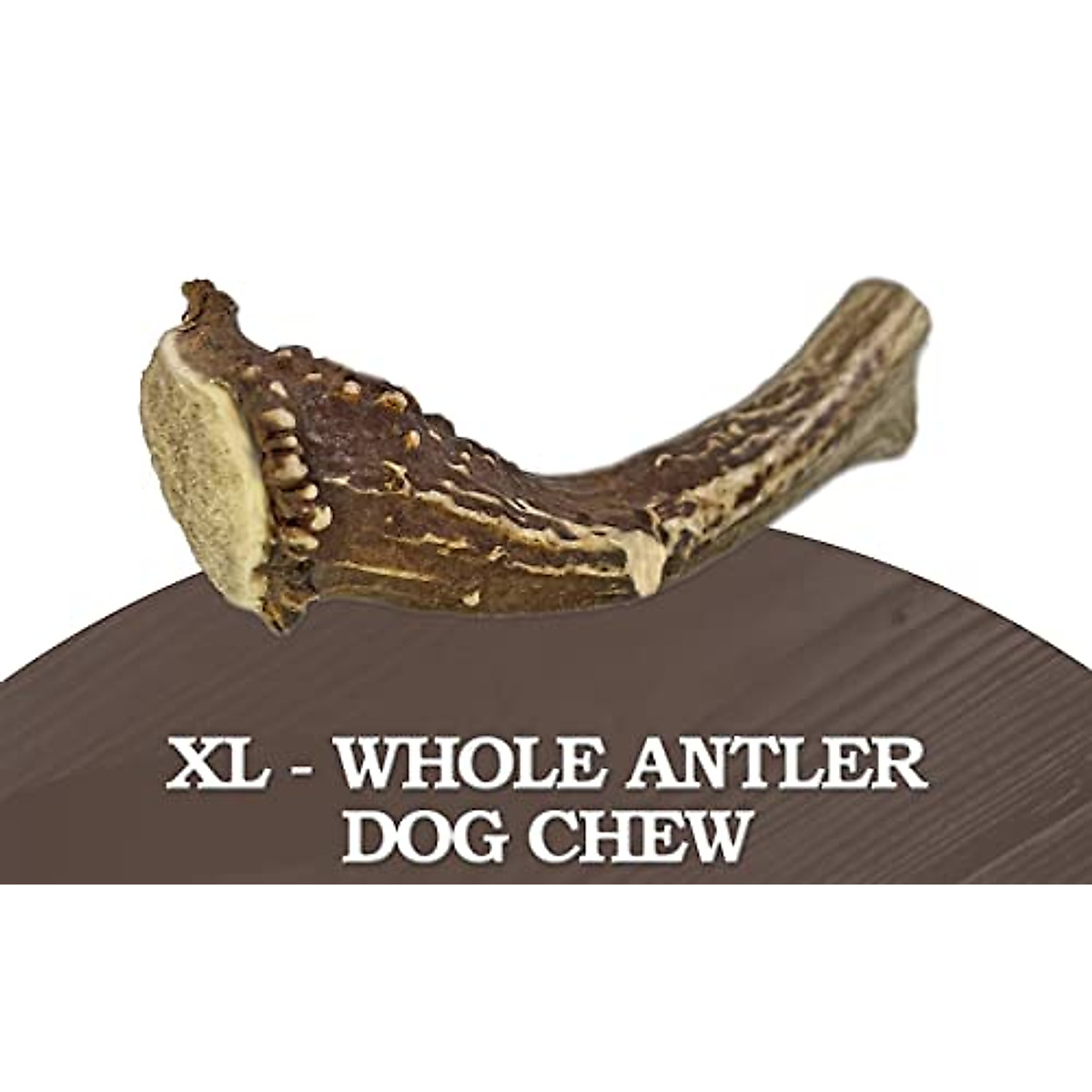 WhiteTail Naturals | Premium Deer Antlers for Dogs (Extra Large) | All Natural Antler Dog Chew | Naturally Shed, Long Lasting Chew Bone, Made in USA