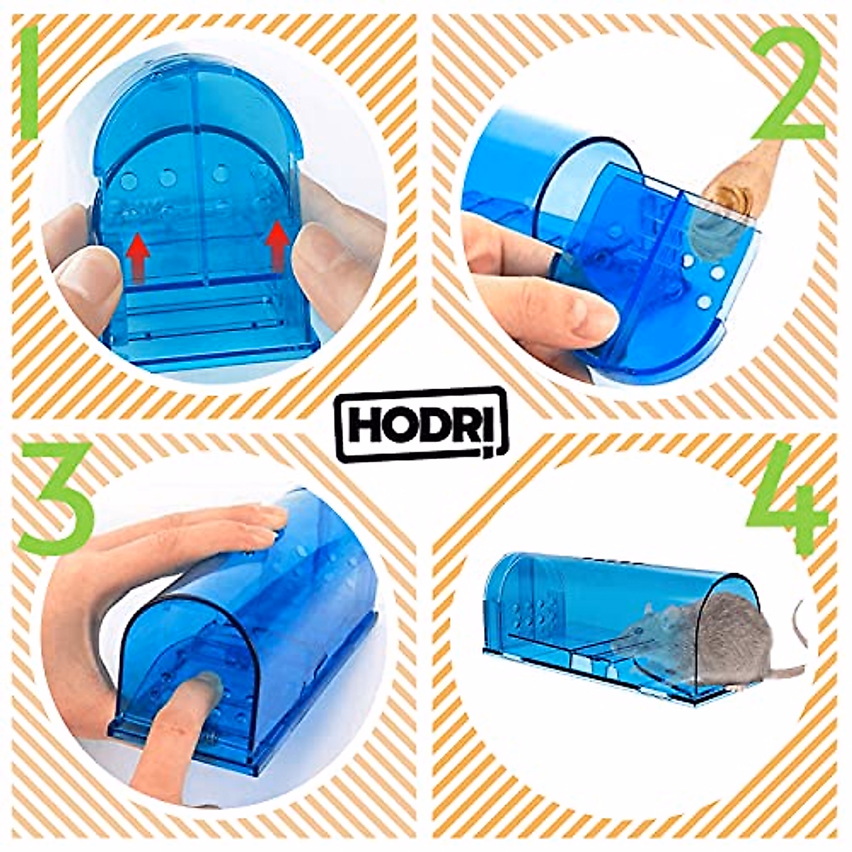 Humane Smart No Kill Mouse Trap, Cruelty Free Live Catch and Release, Easy to Set for Small Rodents Such as Mouse Mice Vole Mole Chipmunk, Reusable for Kitchen Garden Storage Garage (Blue - (2 pcs))