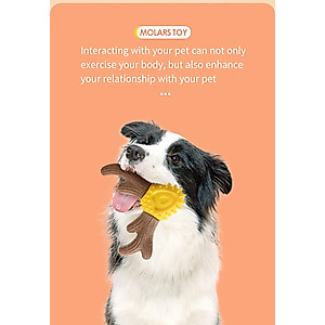 Dog Toys Benebones for Dogs Puppy Toys Puppy Bone Gnawing Toy Dog Treat Teething Chew Stick Teeth Cleaner Resistant Chewers Pet Toys Durable Dog Chew Toy for Aggressive Chewers，Medium (Green)