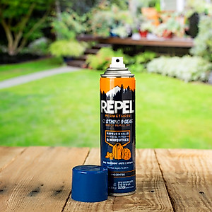 Repel Permethrin Clothing & Gear Insect Repellent, Use on Outdoor Gear, Tents and Sleeping Bags, Repels Mosquitoes, Ticks, Mites, (Aerosol Spray) 6.5 fl Ounce
