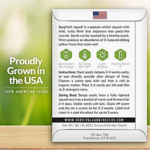 Survival Garden Seeds - Pink Banana Winter Squash Seed for Planting - Pack with Instructions to Plant and Grow Unique Winter Vegetables in Your Home Vegetable Garden - Non-GMO Heirloom Variety