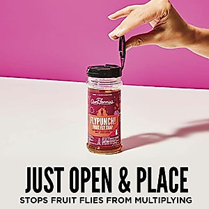 Aunt Fannie’s FlyPunch Fruit Fly Trap (2 Pack): for Indoor and Kitchen Use – Made with Plant Based Ingredients