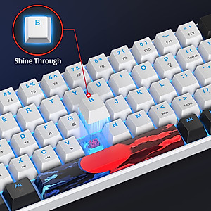 Ussixchare 60 Percent Gaming Keyboard 68 Keys Mechanical Keyboard LED Backlit Compact Wired Keyboard with Red Switch for Windows PS4/5 Xbox Gamer(Black-White)