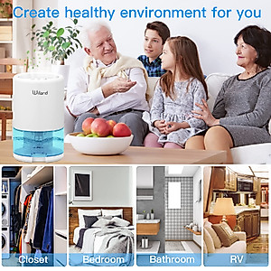 Portable Dehumidifier