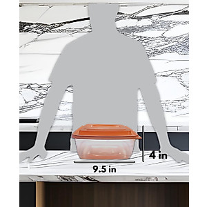 Room 2 Room 42-Piece Food Storage Container Set For Food Storage, Dishwasher Safe, Airtight, BEST VALUE (Orange)