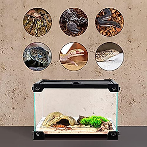 OIIBO Small Glass Reptile Terrarium 12" x 8" x 8" Top Feeding Reptile Tank Full View Visually Appealing Reptile Amphibians Habitat Enclosure