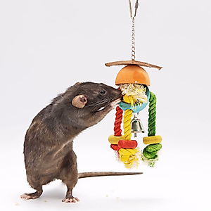 Cage Enhancement Set - Interactive Climbing Foraging Natural Branch Perch Cage Accessory Toy Bundle - for Sugar Gliders, Rats, Ferrets, Hamsters, Squirrels, Parrots, Birds, Marmosets, Degus, Monkeys