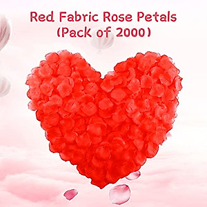 Civaner 25 Pcs Red Heart Balloons I Love You Valentines Day 2000 Rose Petals 40 Inch Bear Balloon and White Shaped Lip for Wedding Party Decoration, White,transparent,red