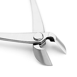 tianbonsai 165 Mm Branch Cutter Straight Edge Bonsai Branches Cutter Bonsai Tools