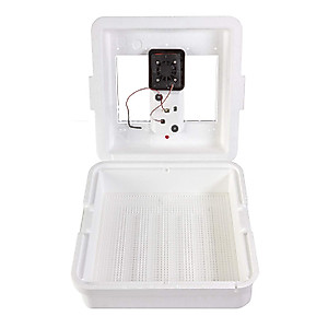 Little Giant 9300 Digital Still Air Incubator w/ LCD Display, 41 Eggs (2 Pack)