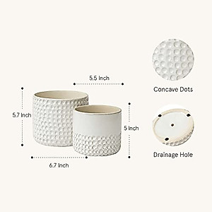 La Jolie Muse Ceramic Planter Flower Plant Pots- 6.7+5.5 Inch Concave Dot Patterned Cylinder Flower Pot W/ Drain Hole for Indoor, Set of 2, Ivory