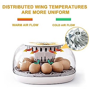 Egg Incubators, 12 Eggs Chicken Incubators Farm Poultry Hatcher Machine, Automatic Egg Turning Temperature Control for Hatching Eggs Chicken Duck Goose Quail Parrot Turkey
