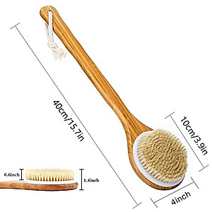 Shower Brush with Natural Bristle - Long Bamboo Handle Bath Body Brush for Wet or Dry Brushing - Improves Blood Circulation, Exfoliating Skin