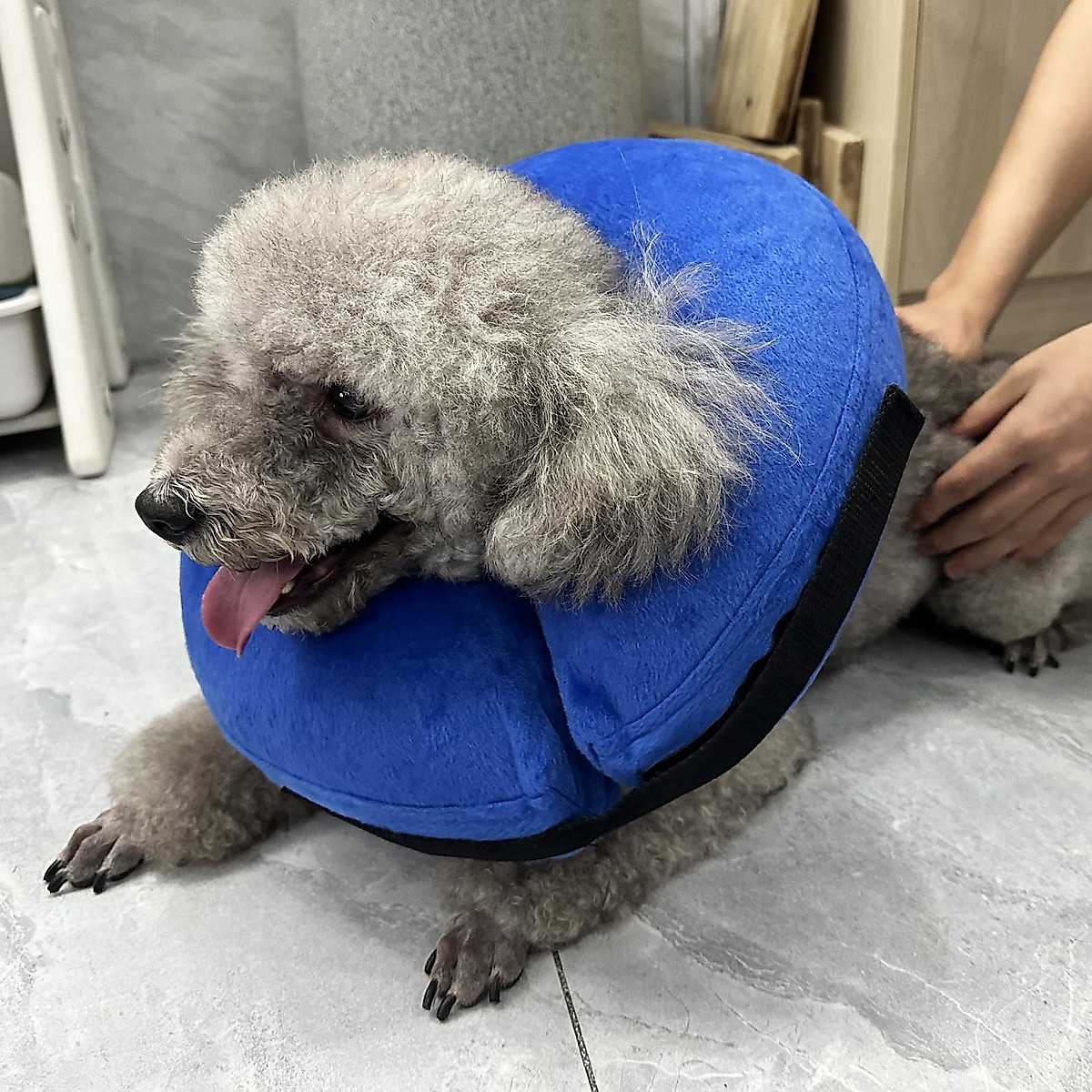 BGGo Inflatable Dog Cone Collar for Dogs After Surgery, Self-Inflating Soft Adjustable Blow up Donut Dog E-Collar for Medium Large Dog and Cats