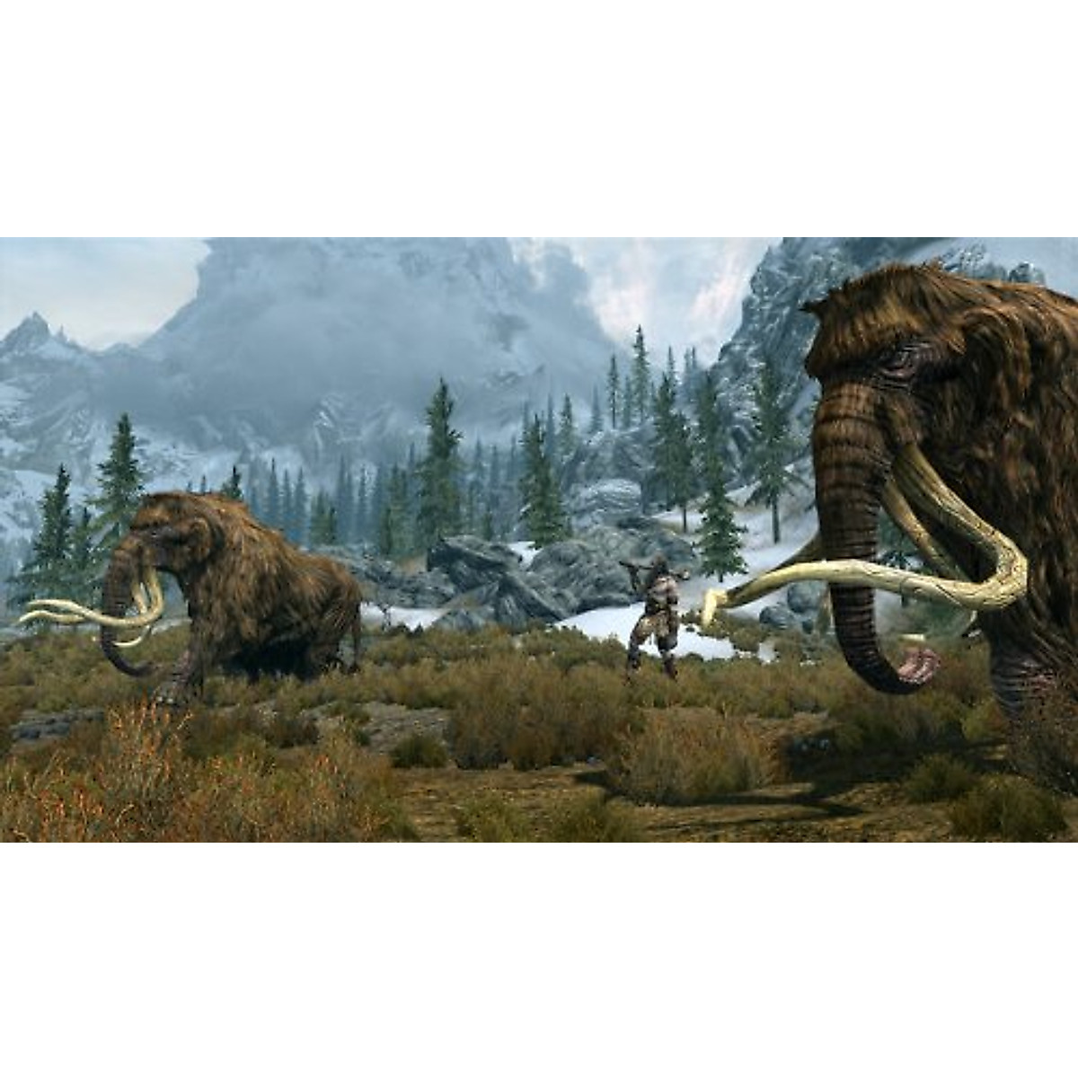 The Elder Scrolls V: Skyrim - PC