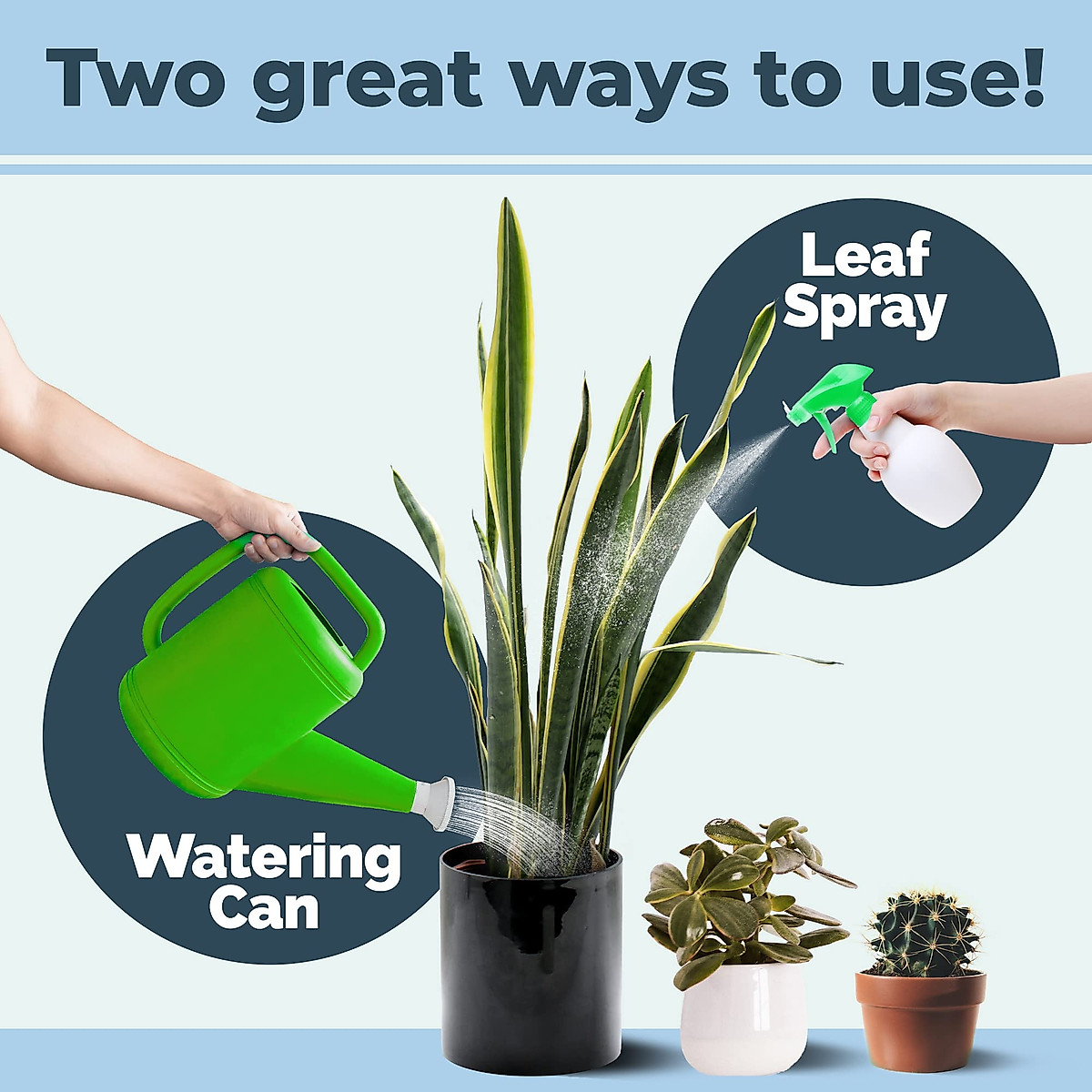 Succulent Plant Food for Succulents, Cactus, Jade and Aloe, Liquid Houseplant Fertilizer 8 oz (250mL)