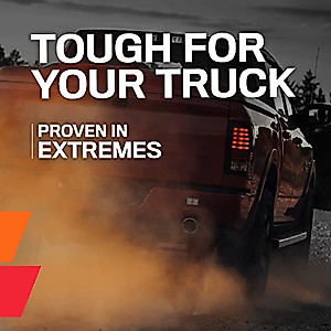 K&N Engine Air Filter: Increase Power & Towing, Washable, Premium, Replacement Air Filter: Compatible with 2010-2019 Toyota/Lexus SUV V6/V8 (4runner, GX460, Land Cruiser, FJ Cruiser, Prado), 33-2438