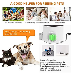 HoneyGuaridan Automatic Cat Feeder for 2 Cats&Dog, Pet Food Dispenser Timed Cat Feeder, Portion Control, Distribution Alarms and Voice Recorder 1-6 Meals per Day - 2 Stainless Steel Bowl