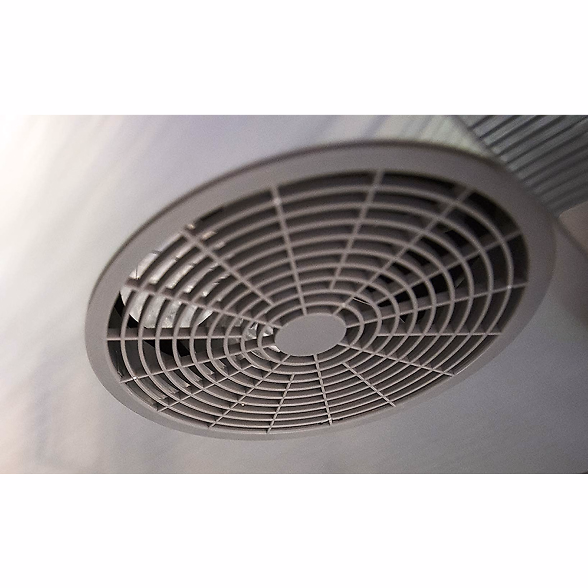 Commercial Grade Refrigerator | Stainless Steel | 1 Self Closing Door | 29" x 32.25" x 82.5" | Digital Temperature Controller | 23 Cu. Ft. | 3 Adjustable Shelves | R-290 Natural Refrigerant