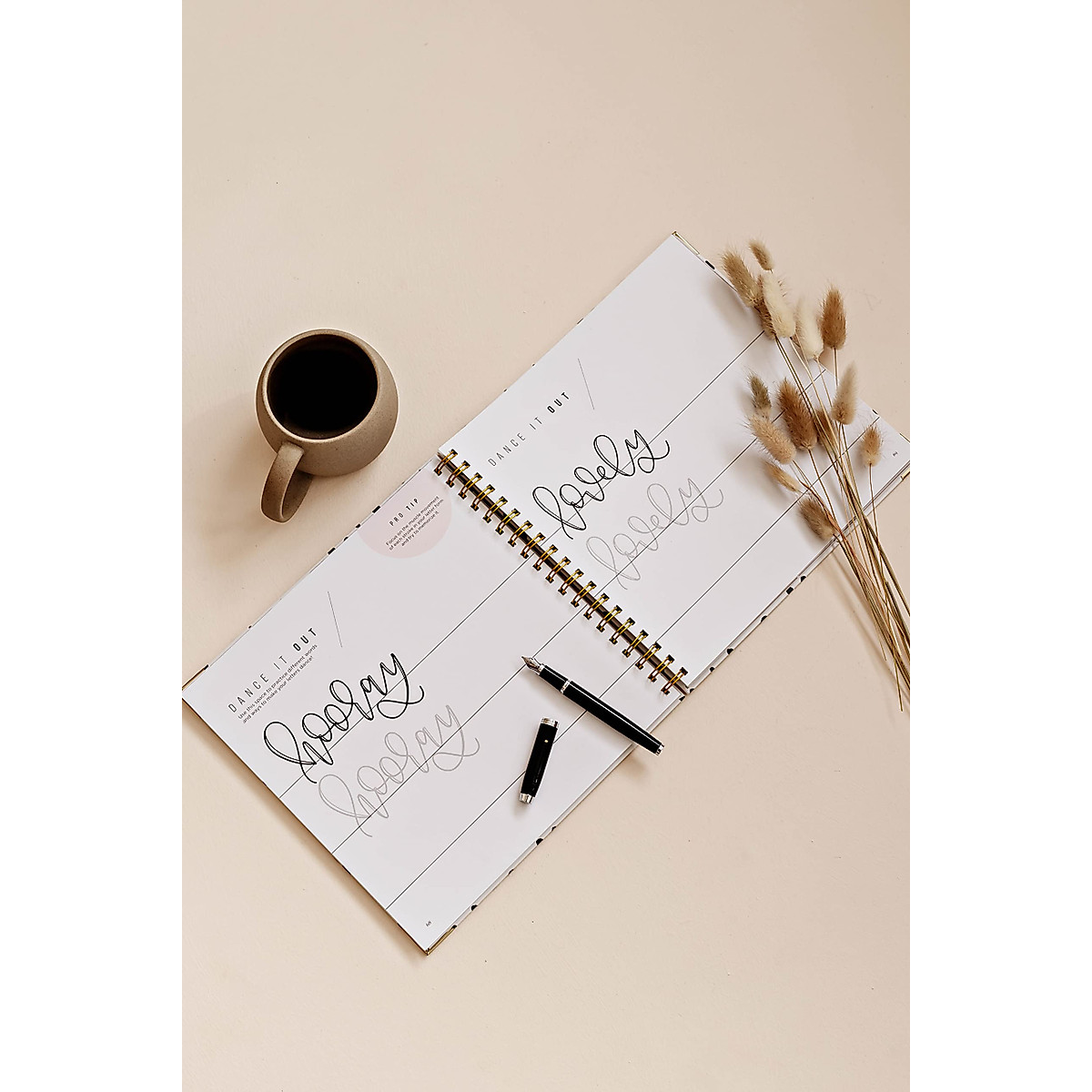 Hand Lettering 101: A Step-by-Step Calligraphy Workbook for Beginners (Gold Spiral-Bound Workbook with Gold Corner Protectors) (Modern Calligraphy)