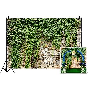 Leyiyi 10x8ft Spring Garden Leaves Backdrop Gardening Plants Grunge Stone Wall Greenery Banner Vane Branch Cover Vintage Architecture Photo Background Wedding Kids Birthday Photo Studio Vinyl Prop