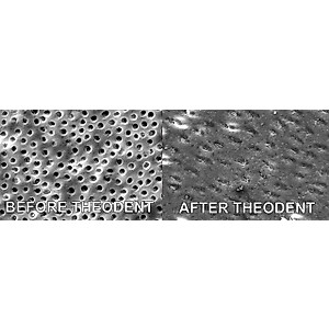 Theodent Toothpaste Fluoride Free Kids Chocolate, 3.4 Ounce