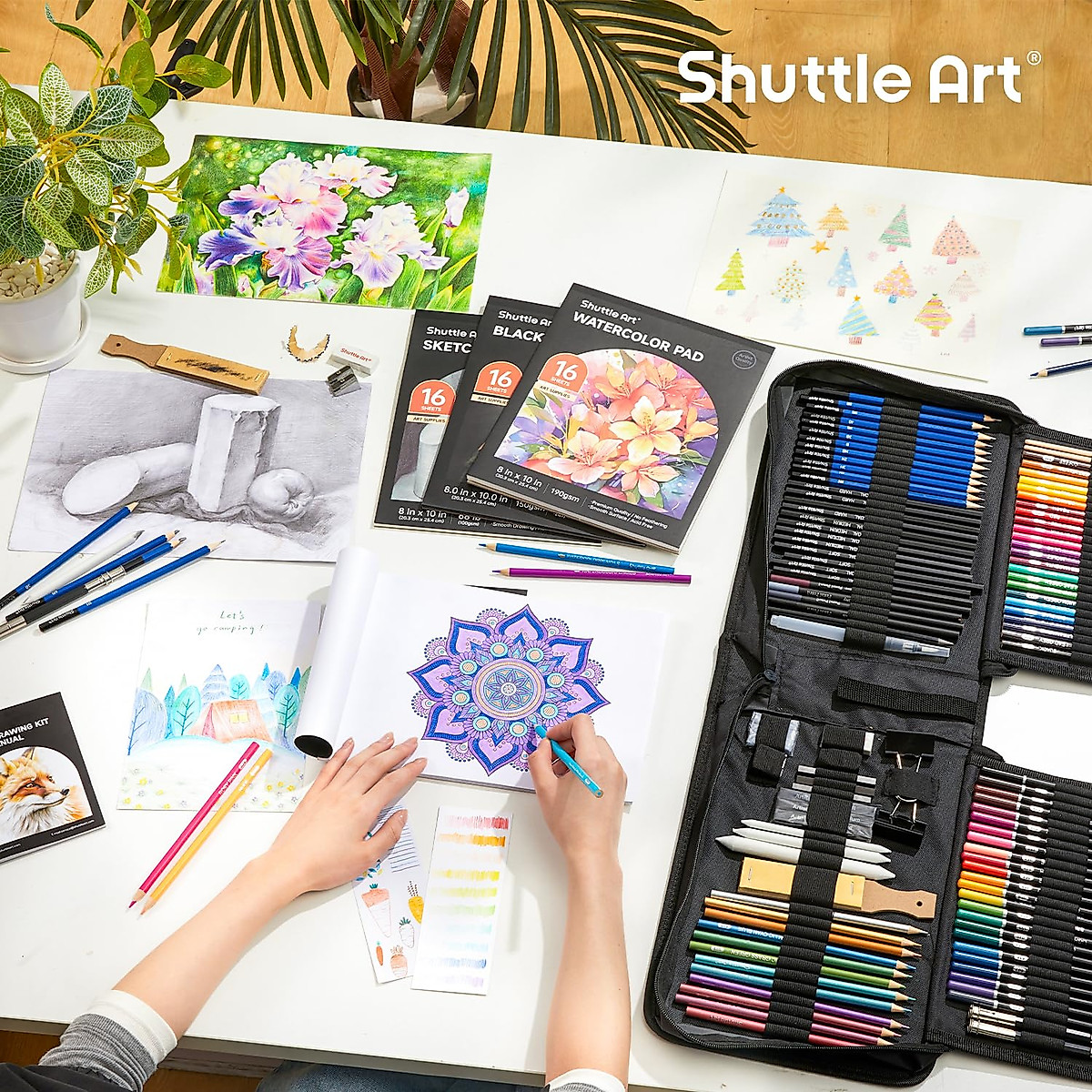 116 PCS Drawing Kit, Shuttle Art Complete Drawing Supplies with Sketch Pencils, Colored Pencils, Graphite, Charcoal Sticks, Professional Drawing Tools and Paper Pads for Artists, Beginners and Kids