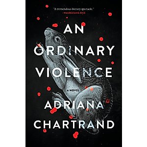 An Ordinary Violence: A Novel