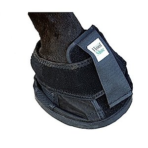 Intrepid International Penn Equine Natural Hoof Shoe, Size 2