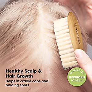 Baby Hair Brush and Baby Comb Set - Wooden Baby Brush with Soft Goat Bristle - Toddler Hair Brush Baby Brush and Comb Set - Baby Brush Set for Newborns - Infant Hair Brush, Cradle Cap (Oval, Walnut)