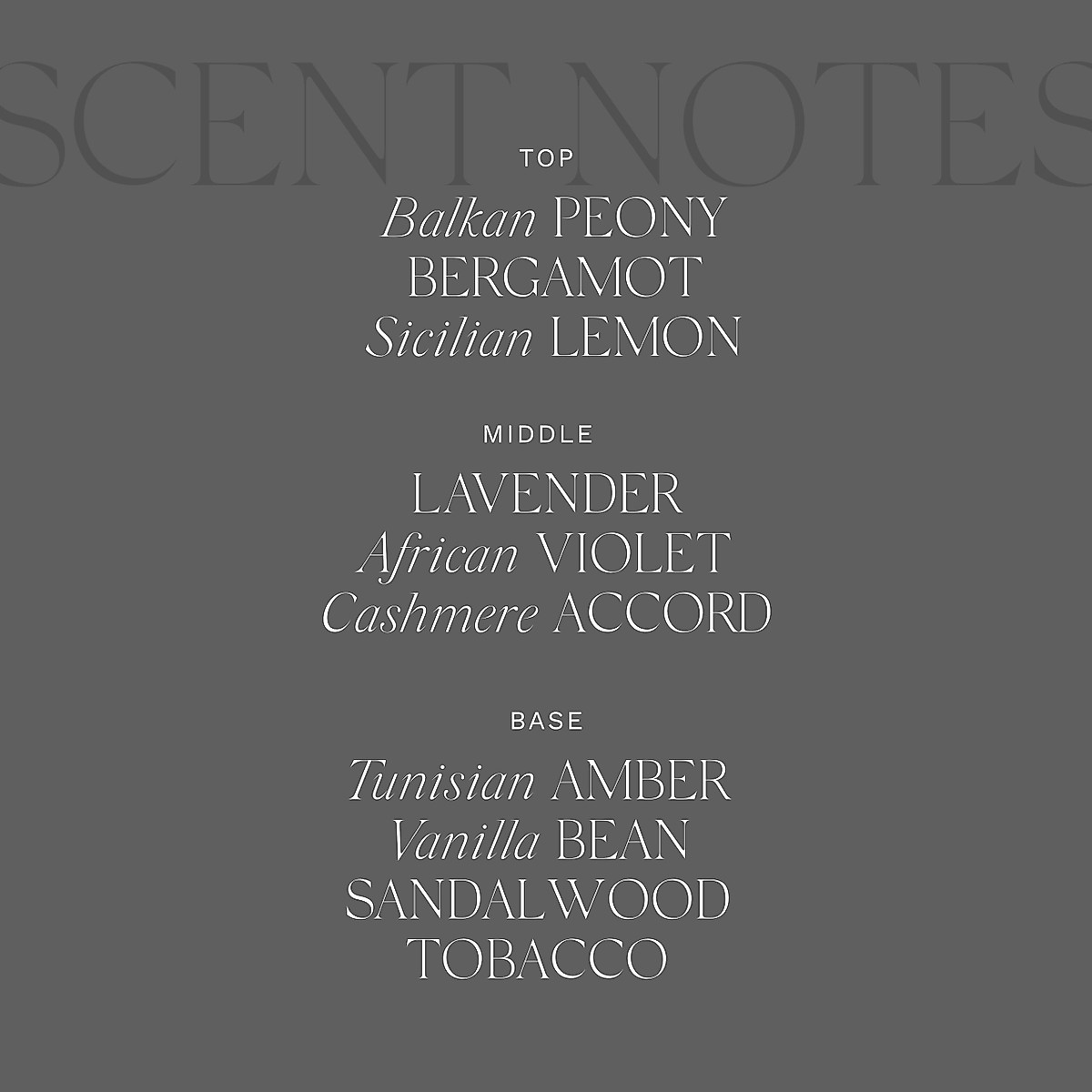 Antica Farmacista Home Ambiance Diffuser, Sandalwood Amber, 8.45 Fl Oz