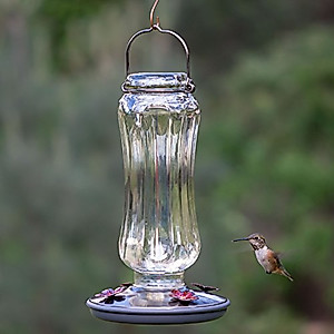 Perky-Pet 8132-2 Starglow Vintage Glass Hummingbird Feeder