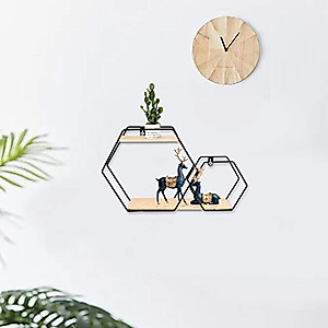 Wonoder Wall Shelf,Rustic Wood Floating Shelves,Hexagon Decorative Wall Shelf