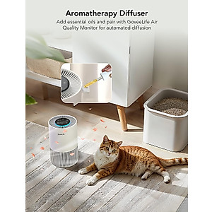 GoveeLife Smart Air Purifiers for Bedroom, with WiFi Alexa Control, HEPA 24dB Quiet Air Purifier with Fragrance Sponge, RGB Night Light, for Pet Dander, Allergies, Smoke, Office and Desktop, White