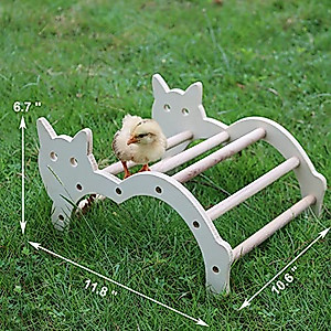 Chick Perch Roost 4 Pack , Natural Wood Chicken Roosting Bar for Coop Chick and Baby Birds , Chicken Wood Stand Training Perch Chick Toys for Brooder