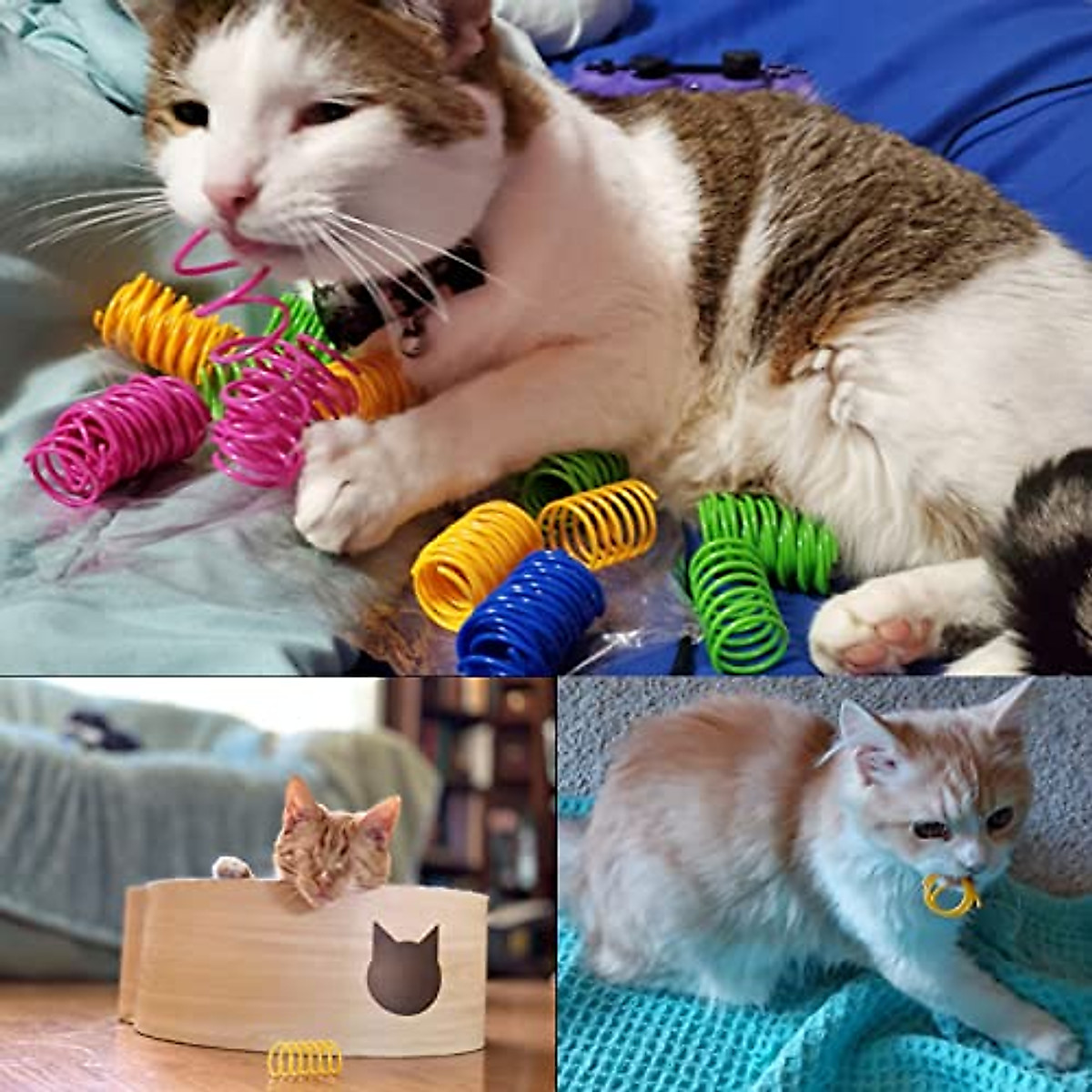 Cat Spring Toys 60 Pack, Colorful Springs Cat Toys Interactive Cat Toy Plastic Coil Spiral Springs Creative Cat Toy to Kill Time and Keep Fit Durable Heavy Plastic Spring for Indoor Cats Kitten Toys
