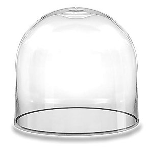 CYS EXCEL Glass Dome Cloche (H:5.75" D:5.75") | Multiple Sizes Decorative Showcase Display for Antique Collectibles | Bell Jar Terrarium & Dessert Cover