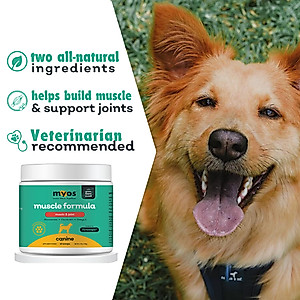 MYOS Muscle & Joint Powered by Fortetropin with Green Lipped Mussel 396g (198 gr)