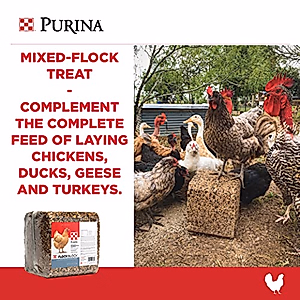 Purina Flock Block Supplement, 25 Pounds