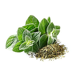 Greek Oregano Herb Seeds for Planting, 2500+ Seeds Per Packet, (Isla's Garden Seeds), Non GMO & Heirloom Seeds, Botanical Name: Origanum vulgare, Great Herb Garden Gift