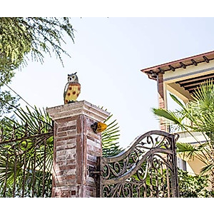 Large Scarecrow Owl Decoy Statue by briteNway – Realistic Fake Owl Outdoor Pest & Bird Deterrent, Hand-Painted Garden Protector, Scares Away Squirrels, Pigeons, Rabbits & More – 16,5” Hollow Design