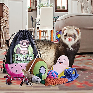 Ferret Toys 9 Pack & Ferret cage Accessories and Travel Pouch - Ferret Accessories, Ferret Tunnel, Ferret Ball - Ferret Bed, Ferret Stuff - Ferret Gifts for Ferret Lovers - Ferret chew Toys & Squeaky