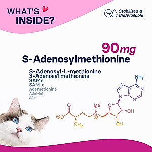 SAM-e Liver and Brain Health Supplement for Medium and Large Dogs - with S-aDENOSYLmethionine (Same), 60 Coated Tablets