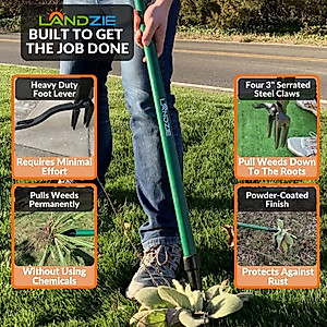 Landzie Weeder - 44 Inch Long Steel Stand Up Manual Weed Remover Tool for Lawn and Garden - Easily Weed Grass Without Bending or Kneeling - 4 Serrated Heavy Duty Claws with Lever for Easy Removal